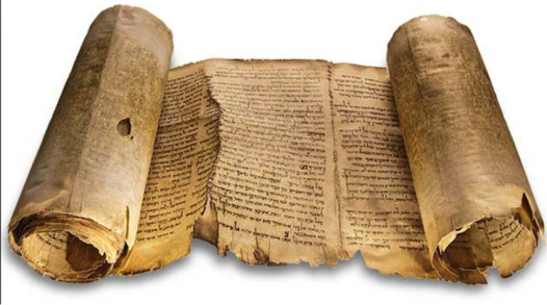 scroll – The Daily Life